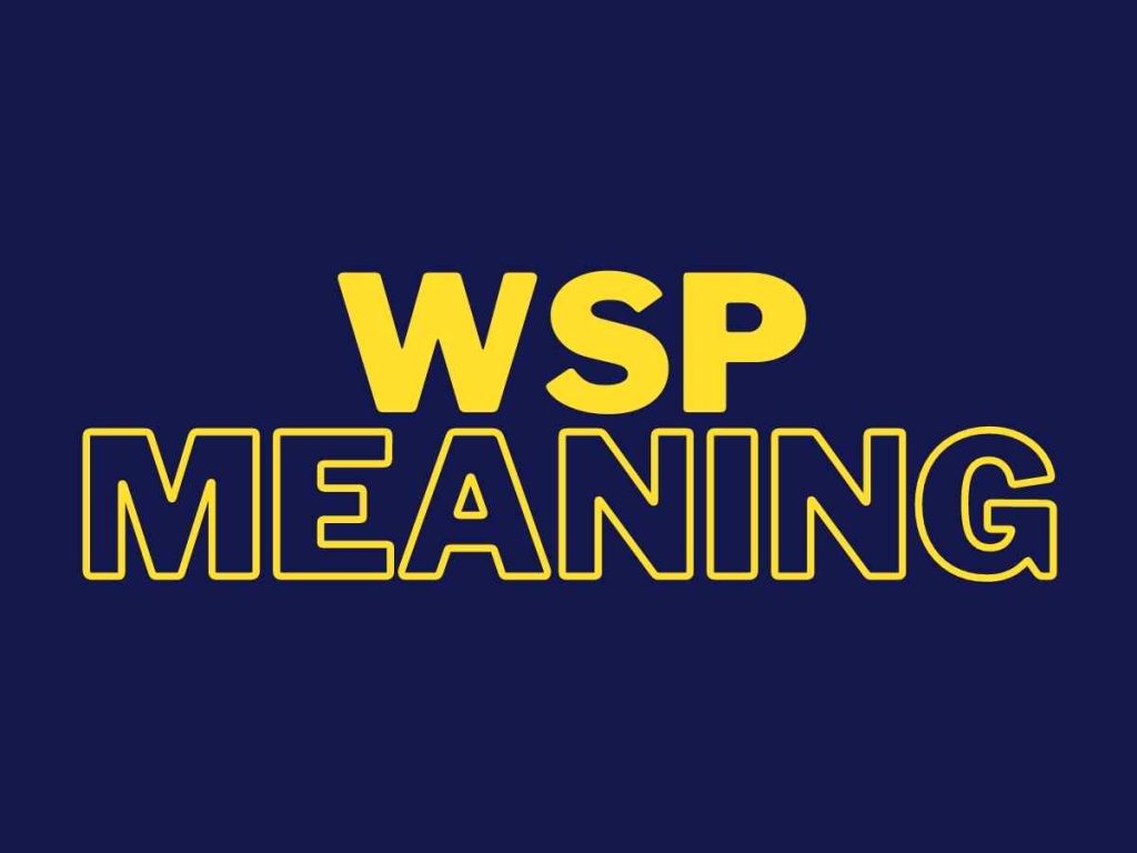 What Does WSP Mean What Does WSP Mean In Texting WSP Meaning